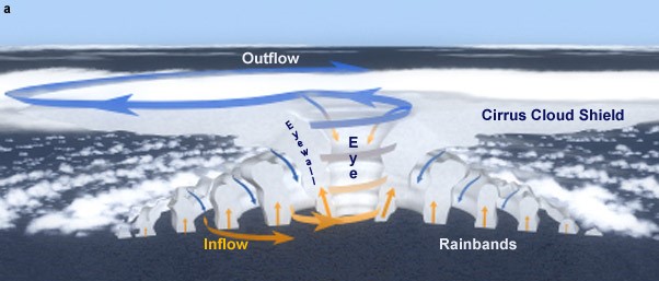 Structure Of Cyclones